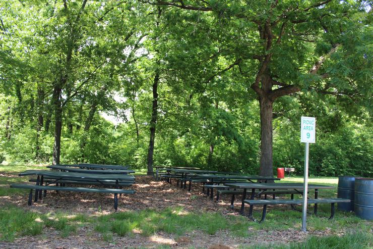 Forest Park | City of St. Louis Parks