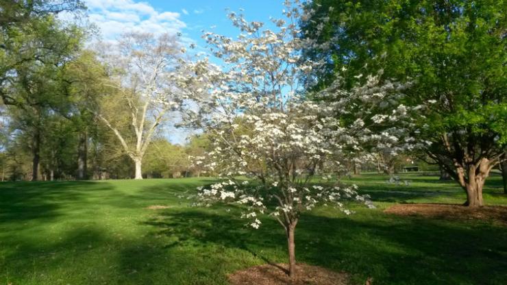 Tower Grove Park | City of St. Louis Parks