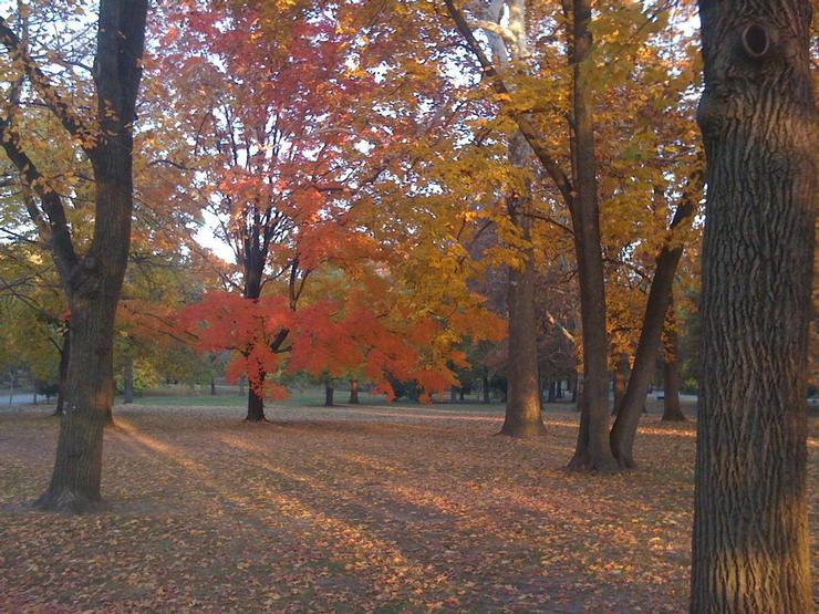 Tower Grove Park | City of St. Louis Parks
