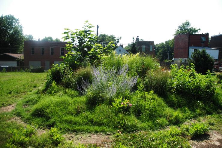 Carnegie Park | City of St. Louis Parks