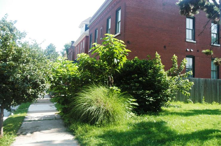Carnegie Park | City of St. Louis Parks