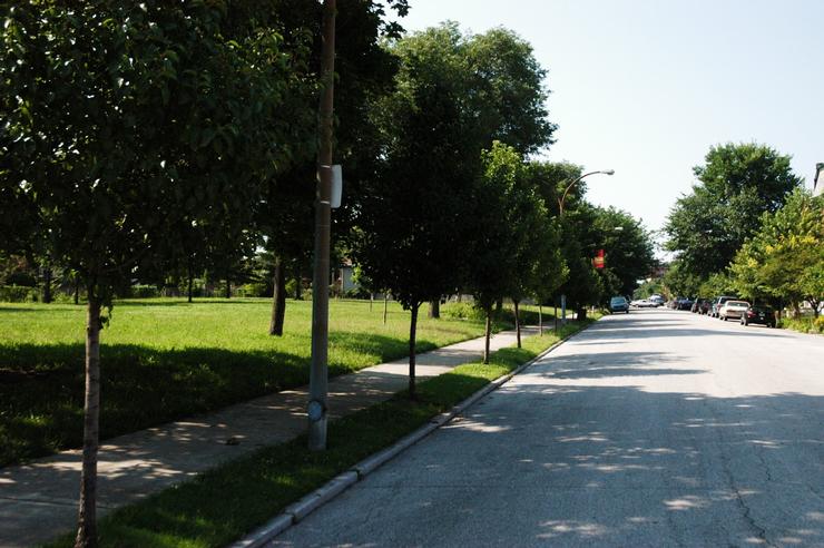 Carnegie Park | City of St. Louis Parks