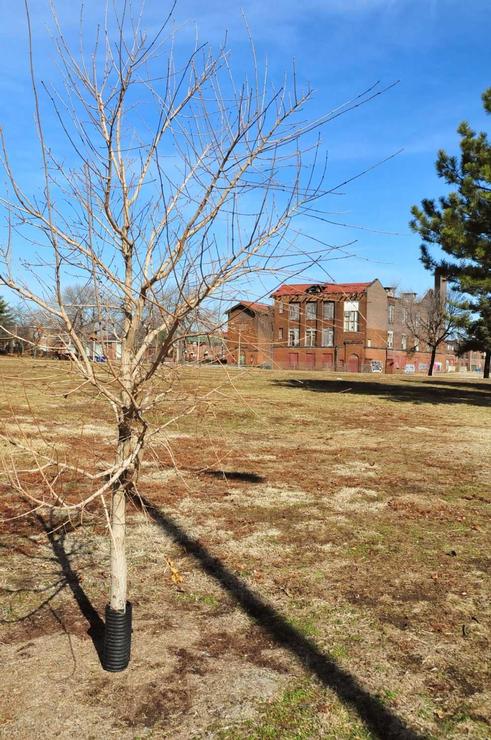 Loretta Hall Park | City of St. Louis Parks