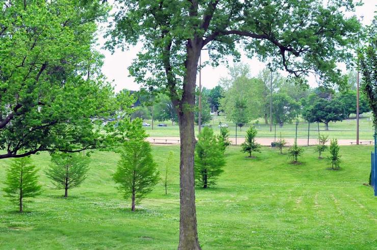 Willmore Park | City of St. Louis Parks