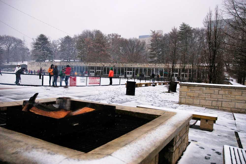 Steinberg Ice Skating Rink | Forest Park | City of St. Louis Parks